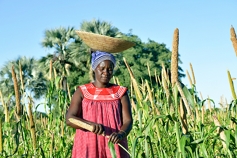 ABS Biotrade: Biodiversity-Based Value Chains